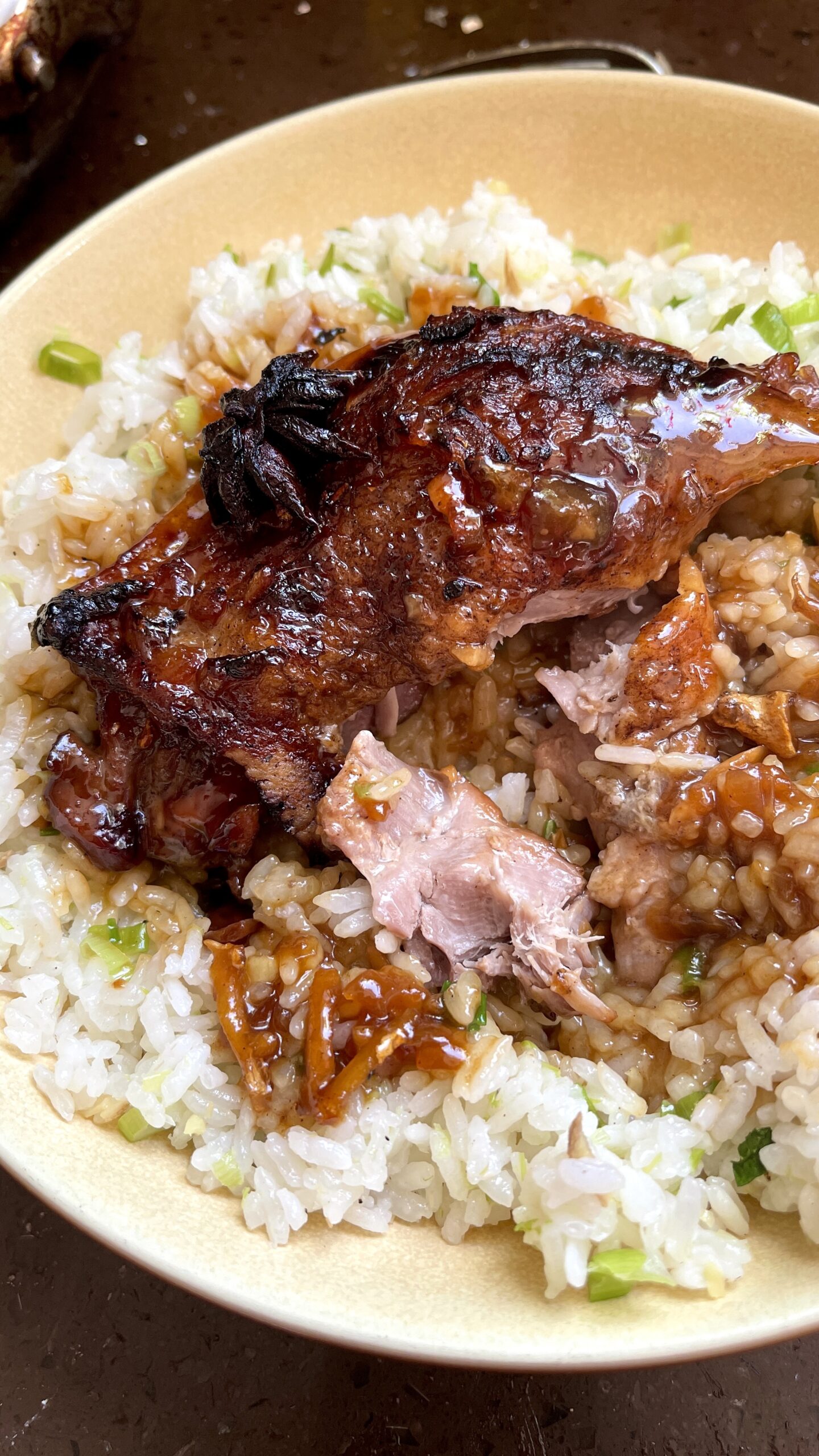 Sticky Plum Duck and Spring Onion Rice – Seema Pankhania